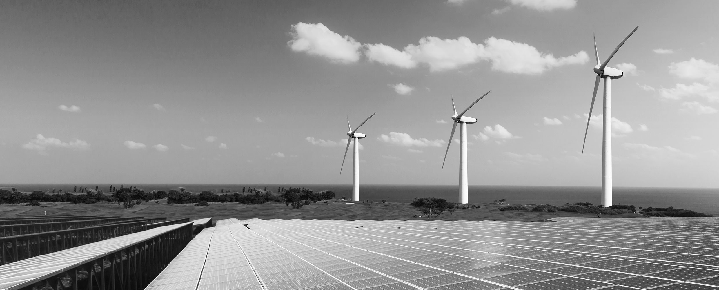 Find Top Energy Consultants at BTG – Business Talent Group